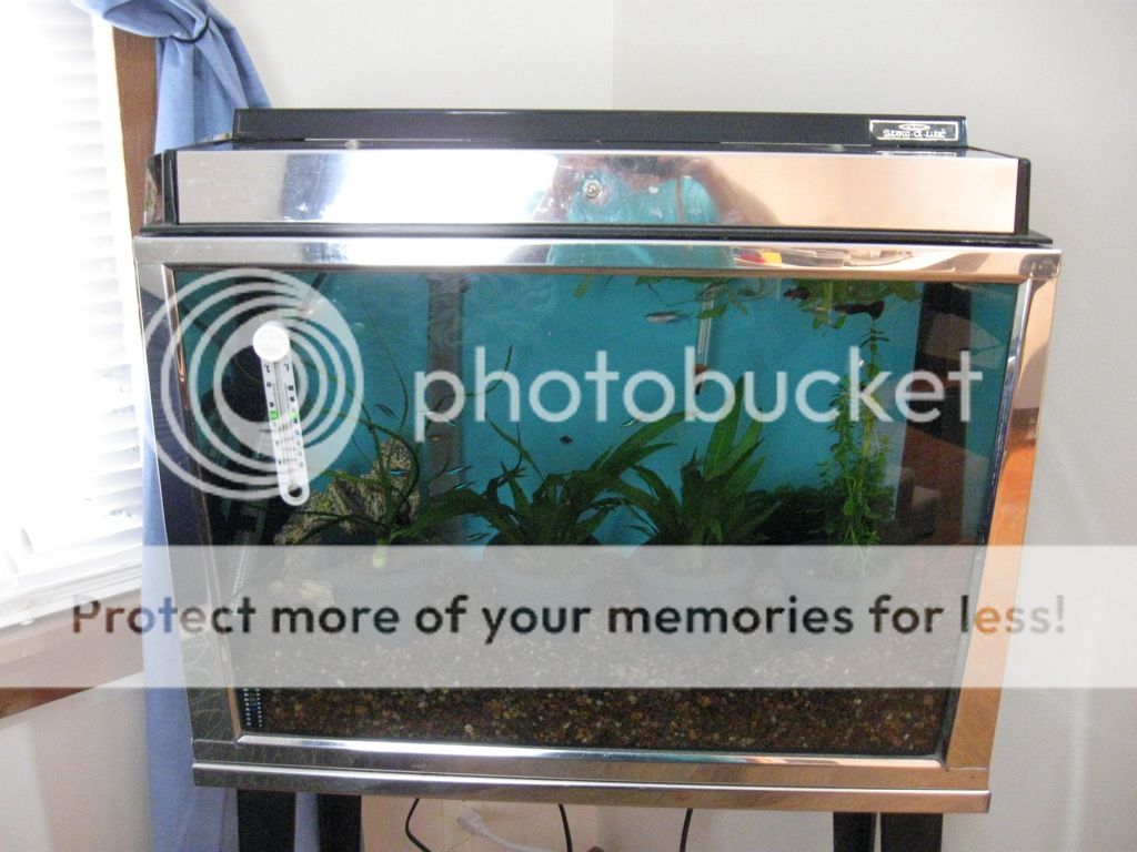 Metaframe leak | The Planted Tank Forum