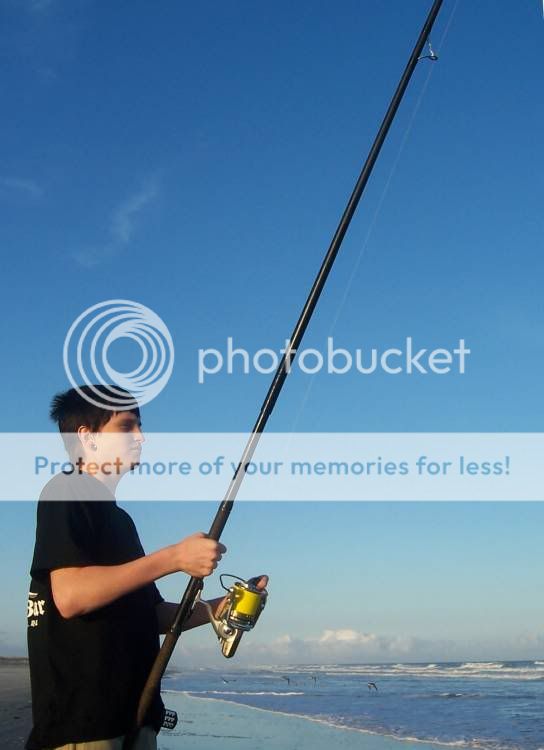 pier live bait king rod design | Pier and Surf Forum